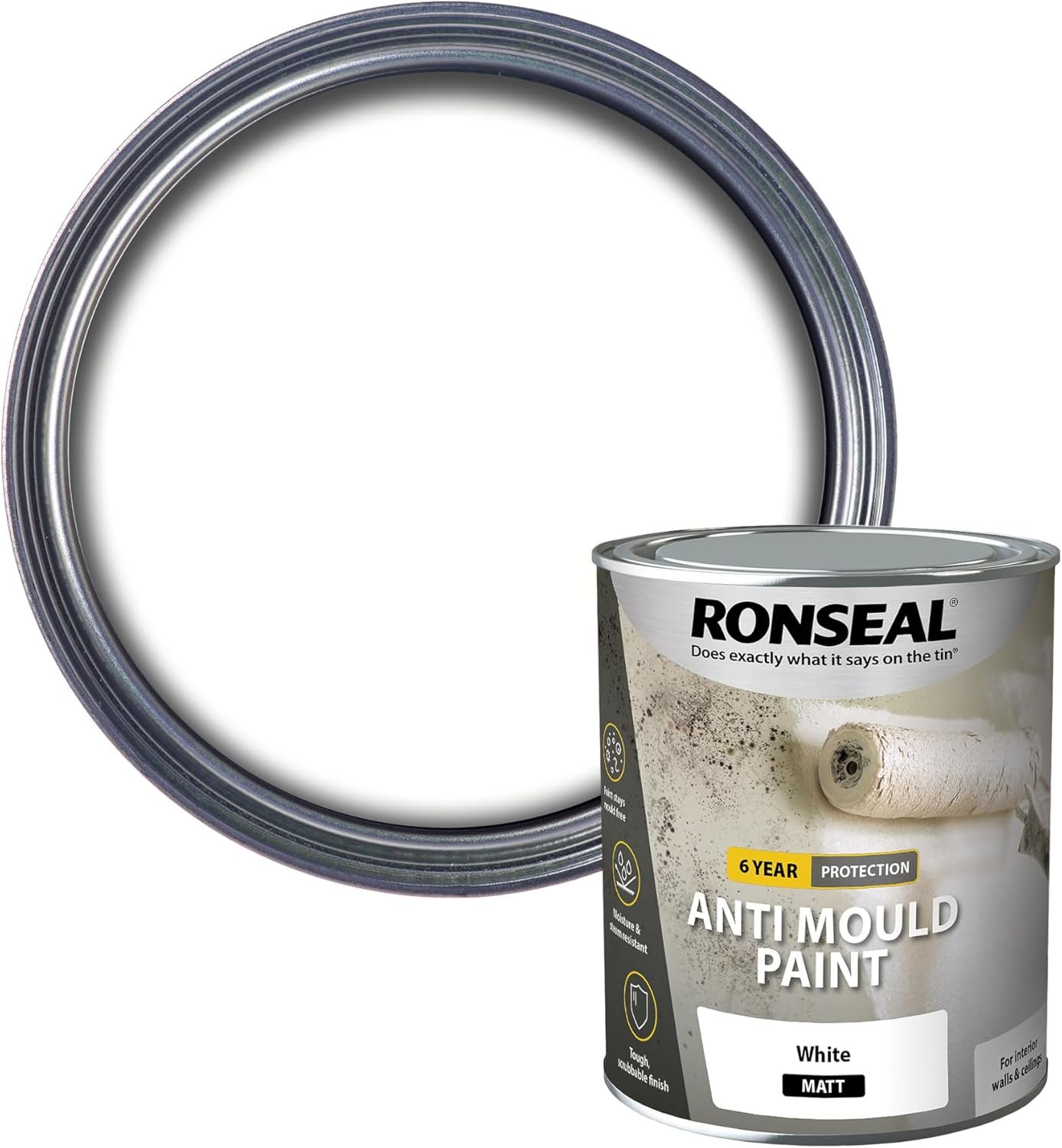 Top 10 Anti Mould Paints for UK Homes (That Actually Work)